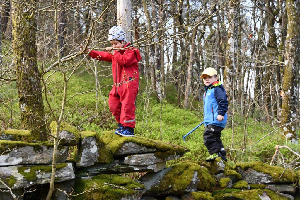 Hvorfor Snikkedalen familiebarnehage – Snikkedalen familiebarnehage AS